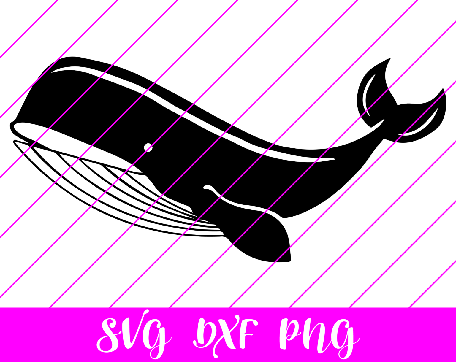 whale SVG - Free whale SVG Download - svg art